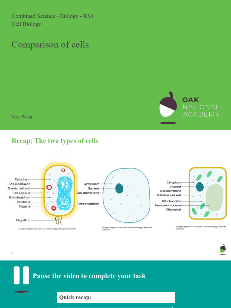 Comparing of Cells - Worksheet | PDF