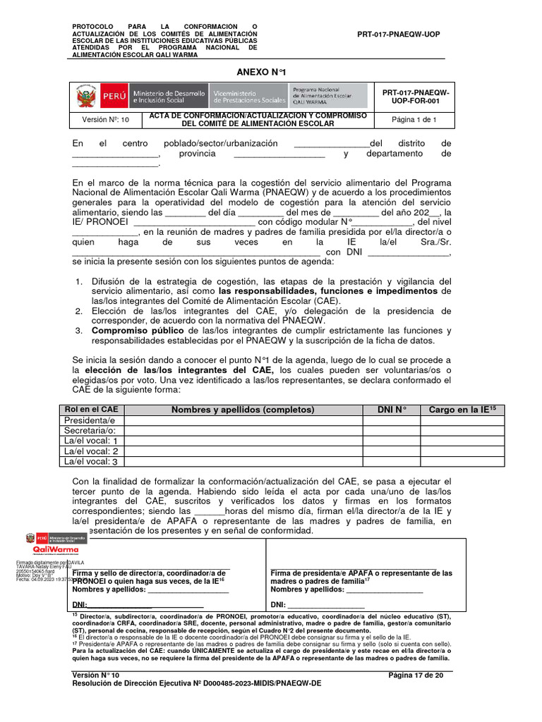 Formatos Cae 2024 Rde 485-2023 - Anexo 1 y 2 VB | PDF