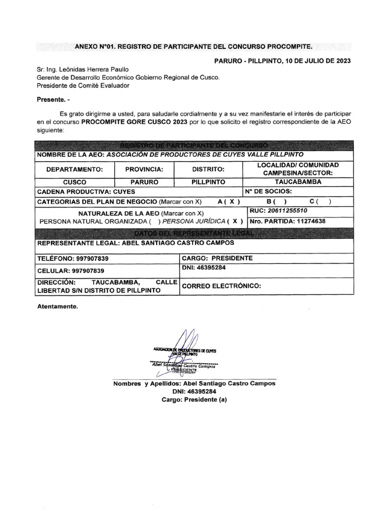Participación AEO en PROCOMPITE Cusco | PDF