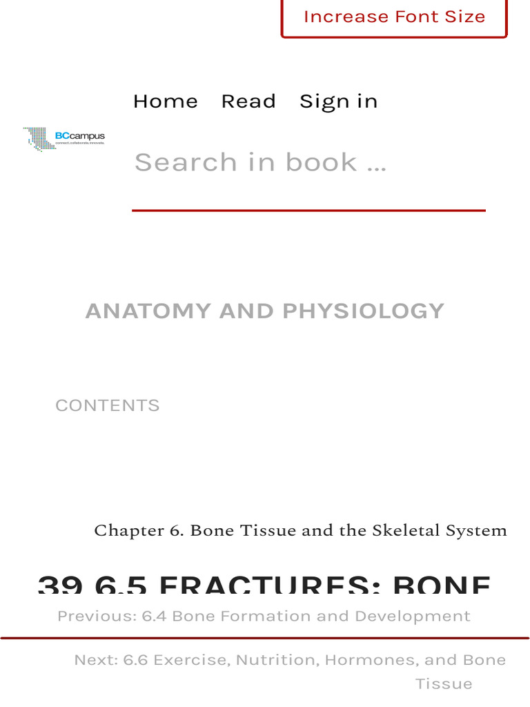 6.5 Fractures - Bone Repair - Anatomy and Physiology | PDF | Bone ...