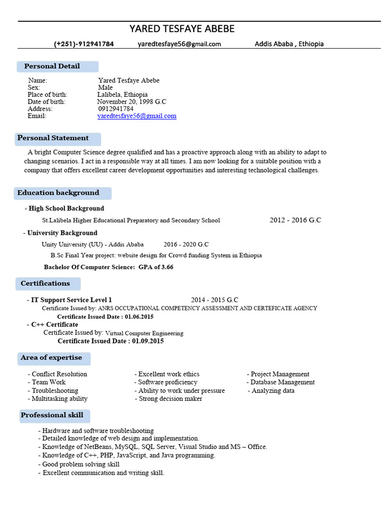 Yared Tesfaye CV | PDF | Php | Websites