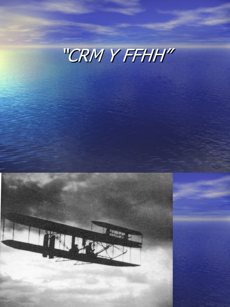 CRM y FFHH | PDF | Informática | Tecnología