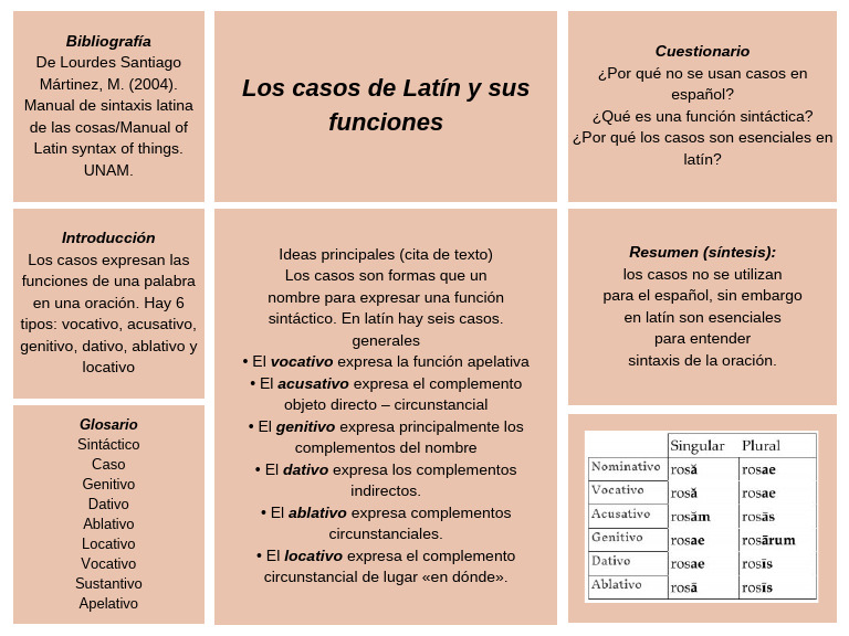 Los Casos de Latín y Sus Funciones | PDF