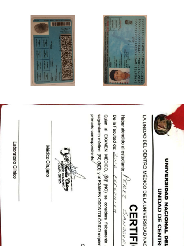 Perez Sandoval Eduardo Ramiro-DNI | PDF