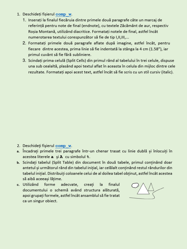 Subiect Word | PDF