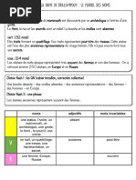 Dictées CM1 CM2 Fichier Enseignant Complet | PDF | Verbe | Nombre grammatical