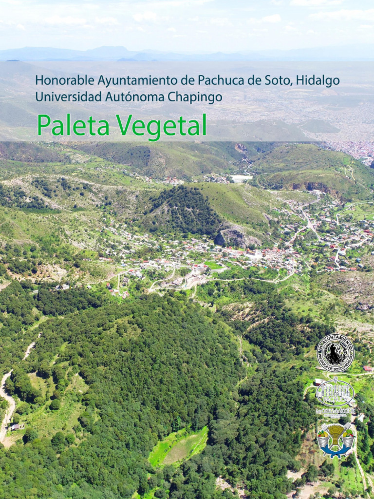 Paleta Vegetal Mpo. Pachuca | PDF