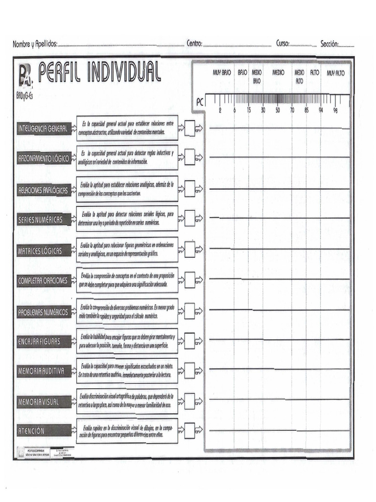 BADyG-E3 Hoja de Perfil | PDF