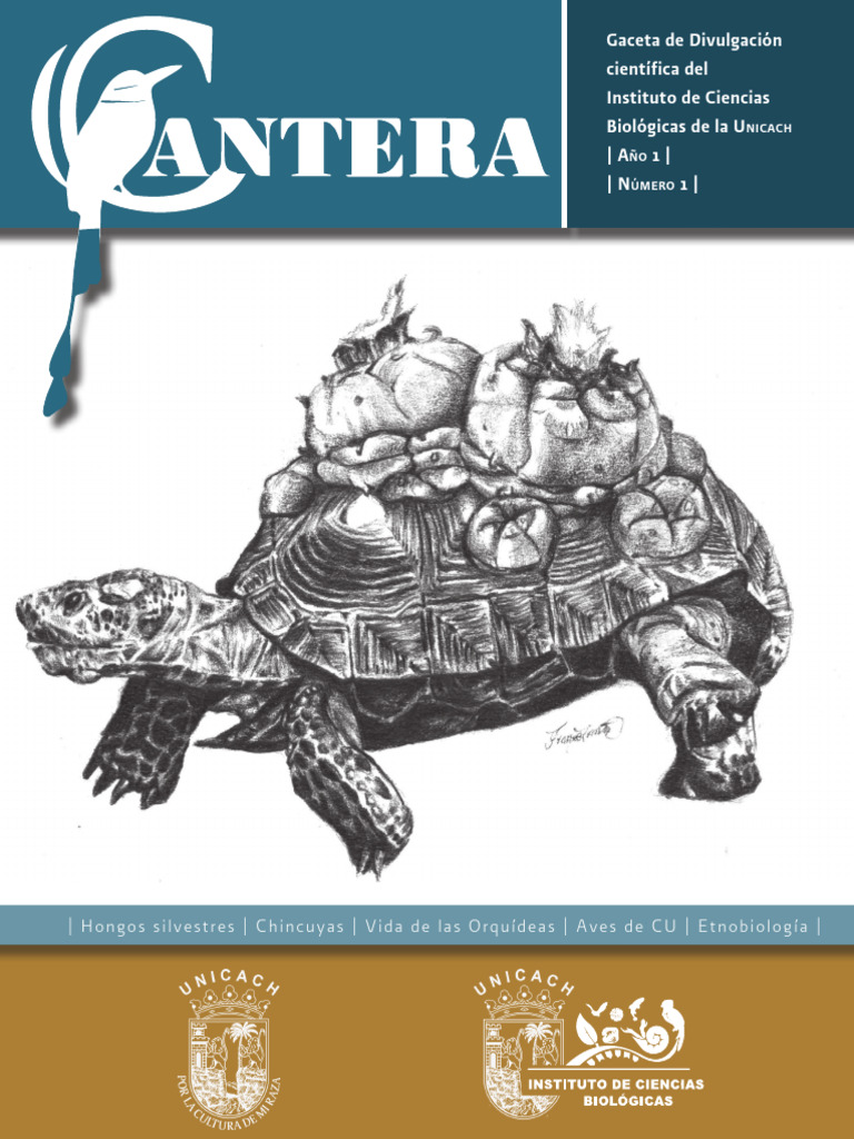 Cantera 1 (1) 4 Faustino Miranda | PDF
