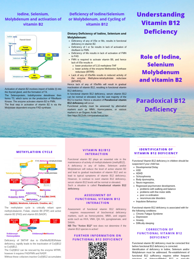 Paradoxical B12 | PDF