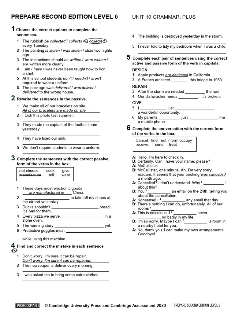 Level 6 Unit 10 Grammar Practice | PDF