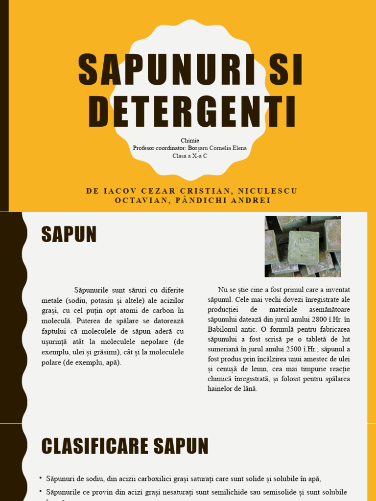 Sapunuri Si Detergenti | PDF