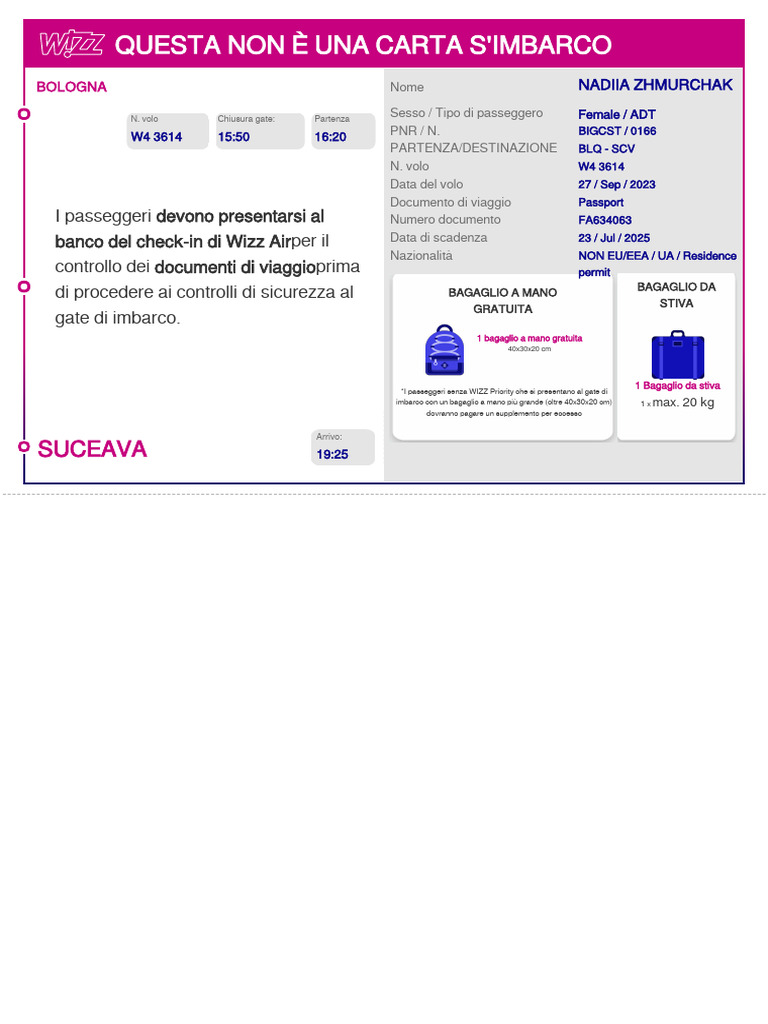 BoardingCard_332035597_BLQ_SCV | PDF