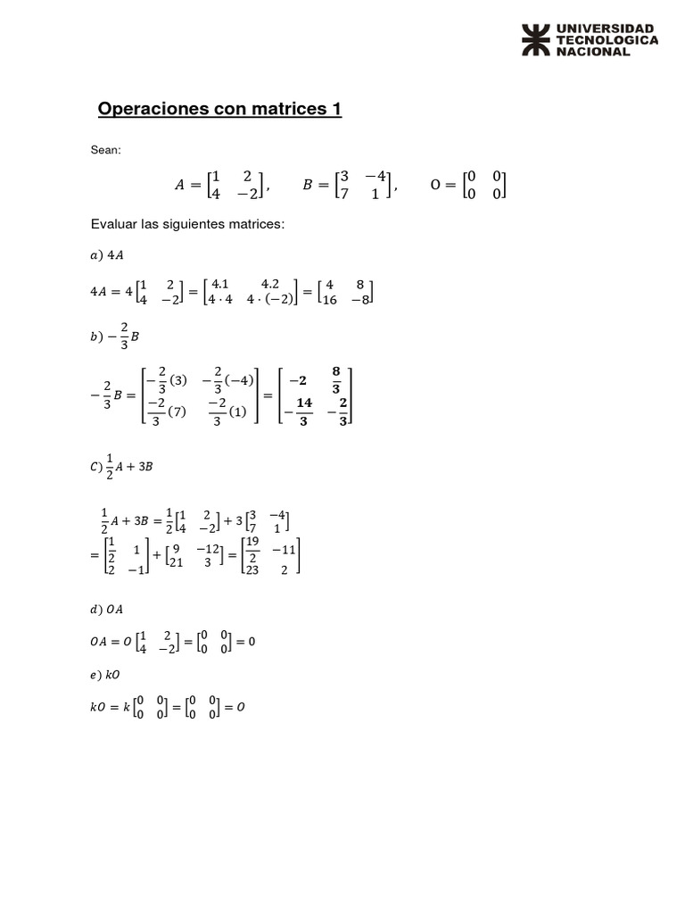 Matrices Ejemplos Resueltos 1 | PDF