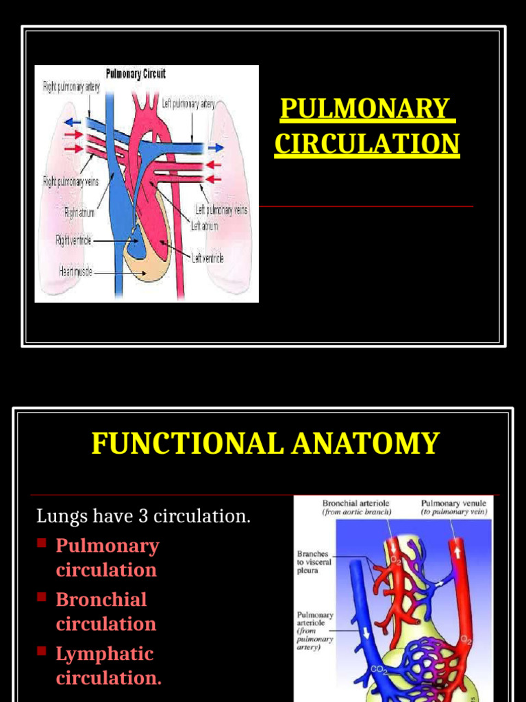 Pulmonary Circulation | PDF