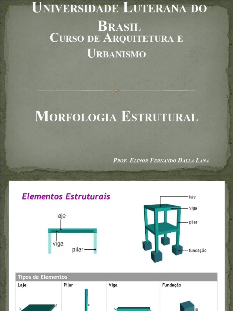Morfologia Estrutural | PDF