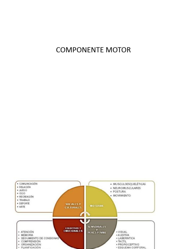 Componente Motor | PDF | Articulación | Músculo esquelético