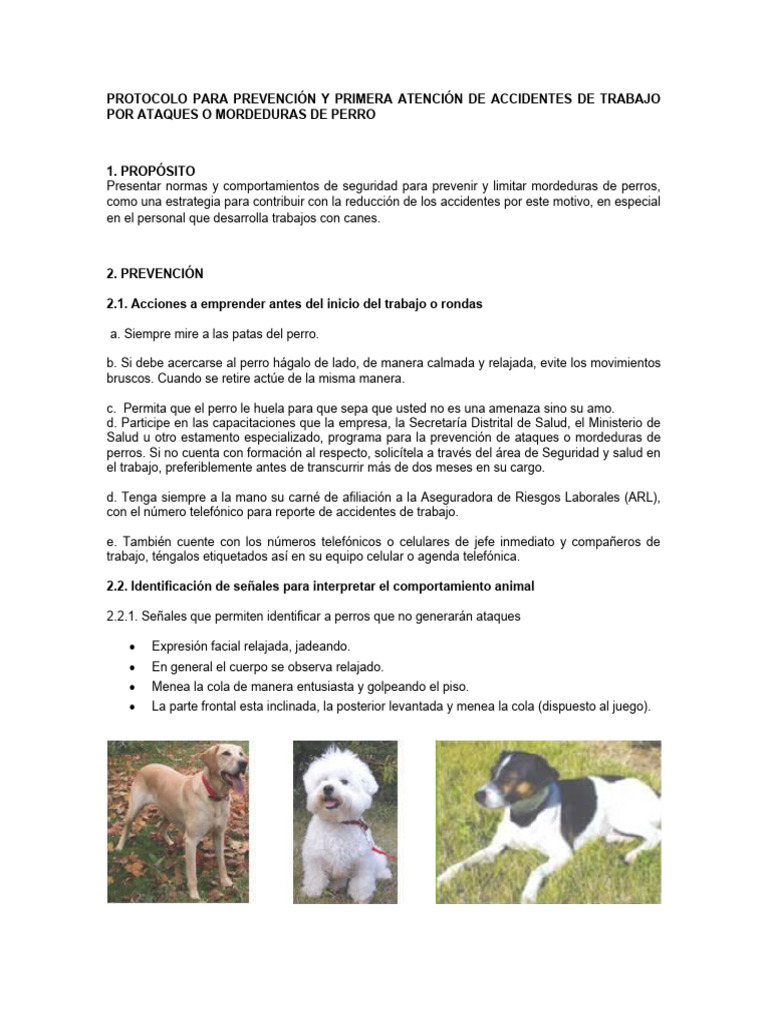 Prevención y Manejo de Mordeduras Caninas | PDF