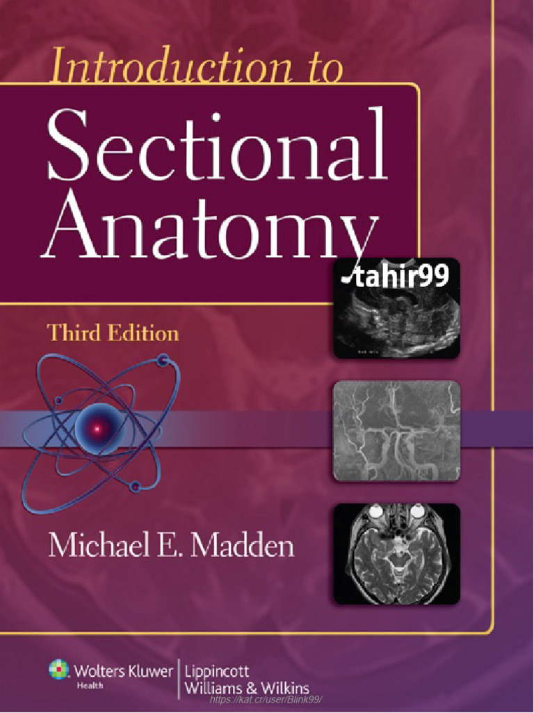 2013 - Introduction To Sectional Anatomy - Madden | PDF