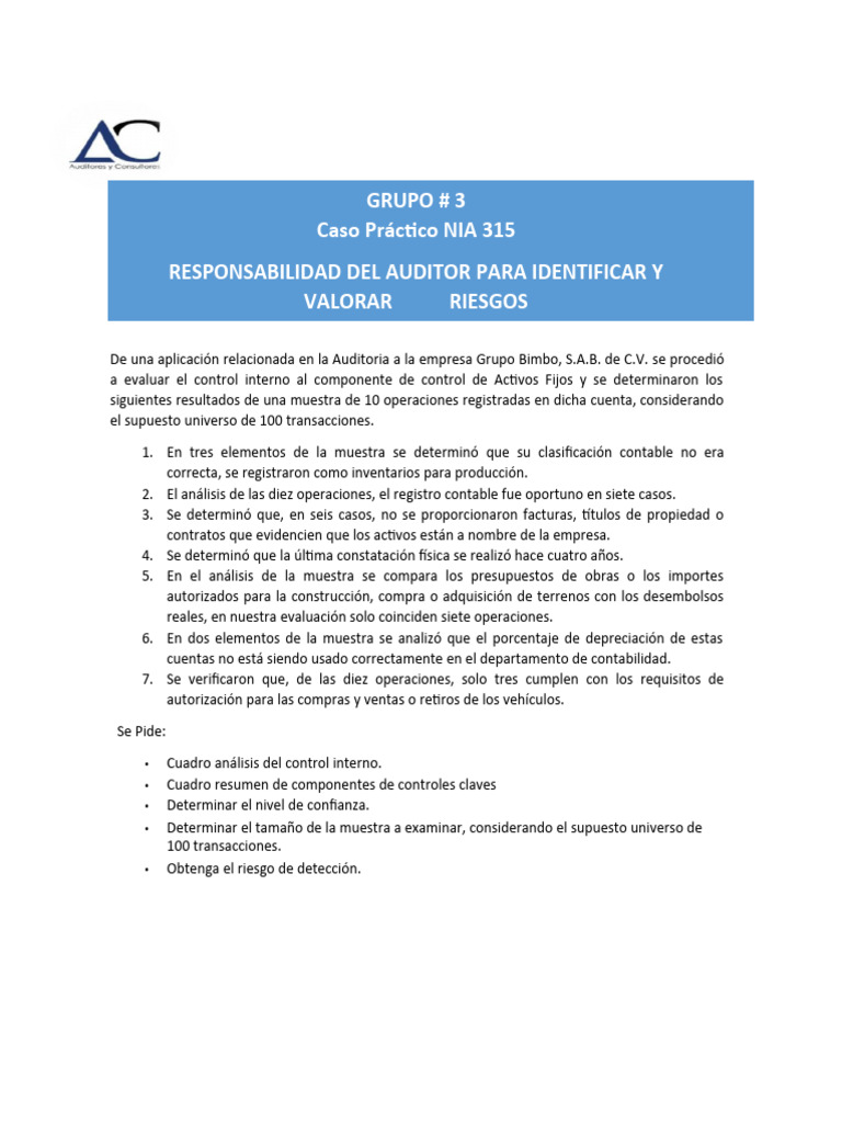 Caso Práctico NIA 315 | PDF