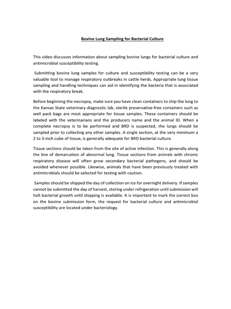 Bovine Lung Sampling For Bacterial Culture | PDF
