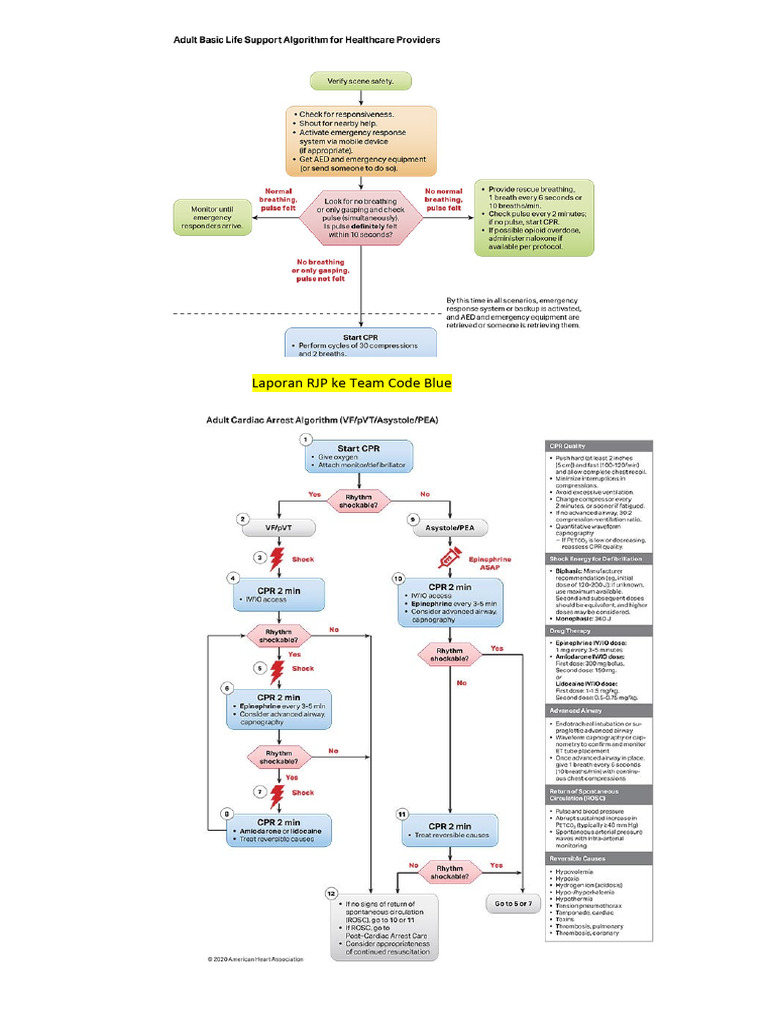 Skenario Code Blue Asystole | PDF