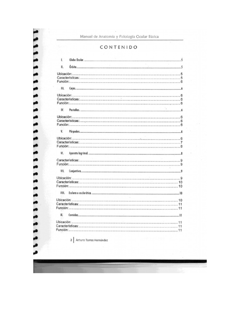 Manual de Anatomia y Fisiologia Ocular Basica | PDF