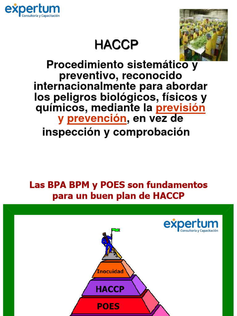Sistema Haccp | PDF