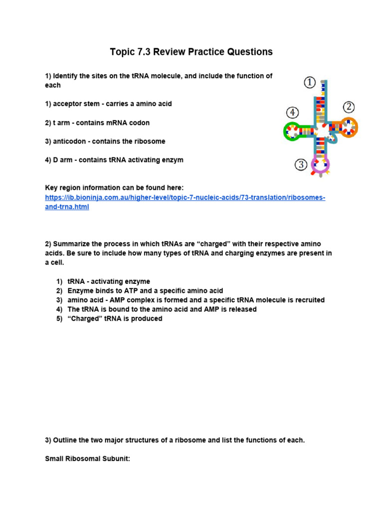 Topic 7.3 Review Practice Questions | PDF | Ribosome | Endoplasmic ... Topic 7.3 Review Practice Questions | PDF | Ribosome | Endoplasmic ...