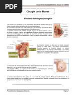 Cap. 2. Tumorectomía y Cuadrantectomía | PDF | Pecho | Cáncer
