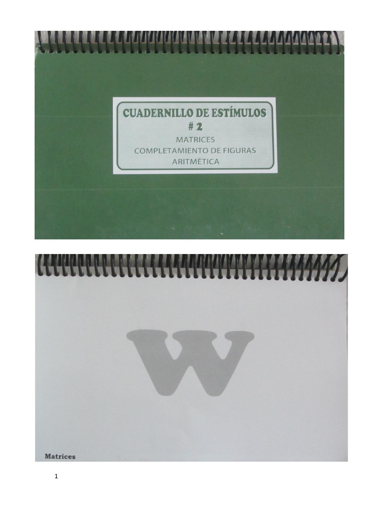 Cuaderno de Estímulos 2 Test (WISC-IV) (Manual Moderno) | PDF