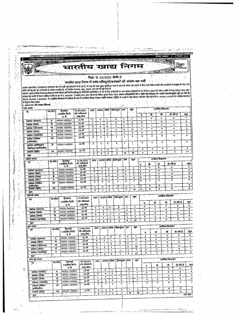 Hindi Advertisement | PDF