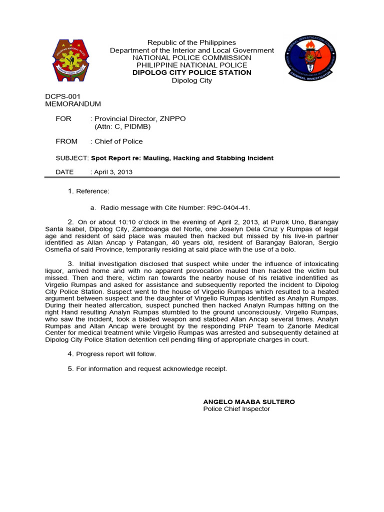 Spot Report Progress Report and Final Reportdocx | PDF | Detention ...