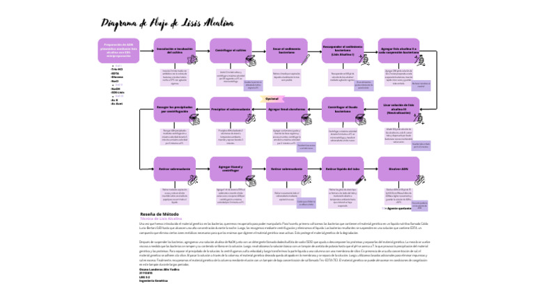 Diagrama de Flujo de Lisis Alcalina Alin Osuna | PDF | Sal (química ...