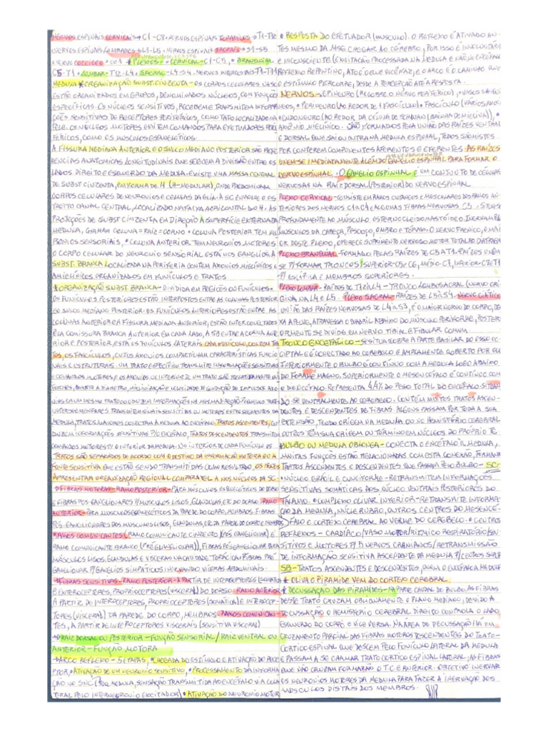 Scanned Documents | PDF