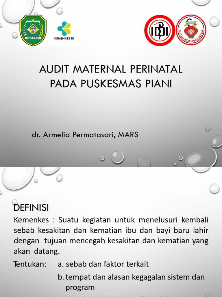 Audit Maternal Perinatal | PDF