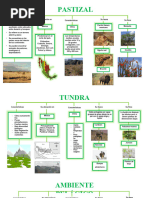 Biomas de México y sus características | PDF | México | Desierto