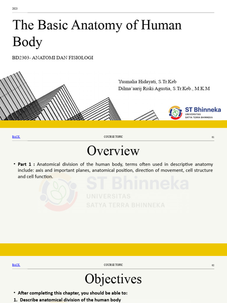 Part 1 - The Basic Anatomy of The Human Body | PDF