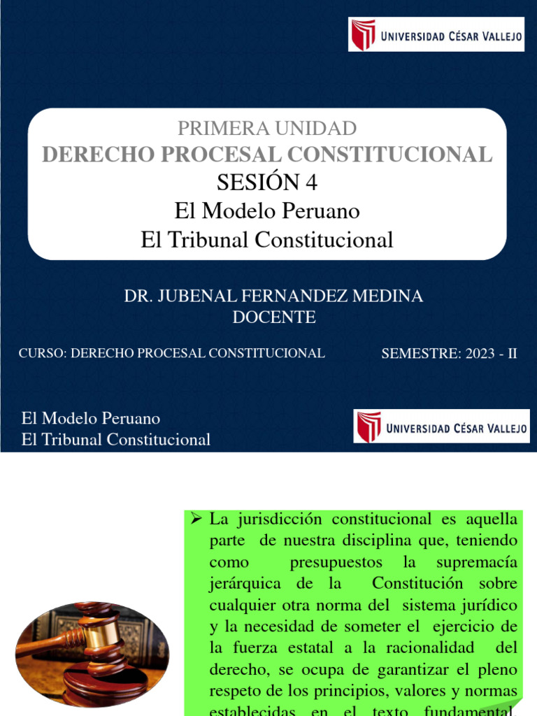 El Modelo Peruano - Tribunal Constitucional | PDF