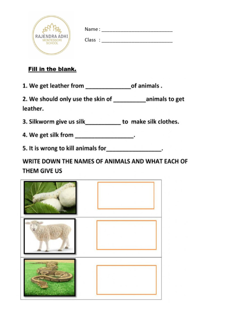 G2 Science Useful Animals | PDF | Career & Growth