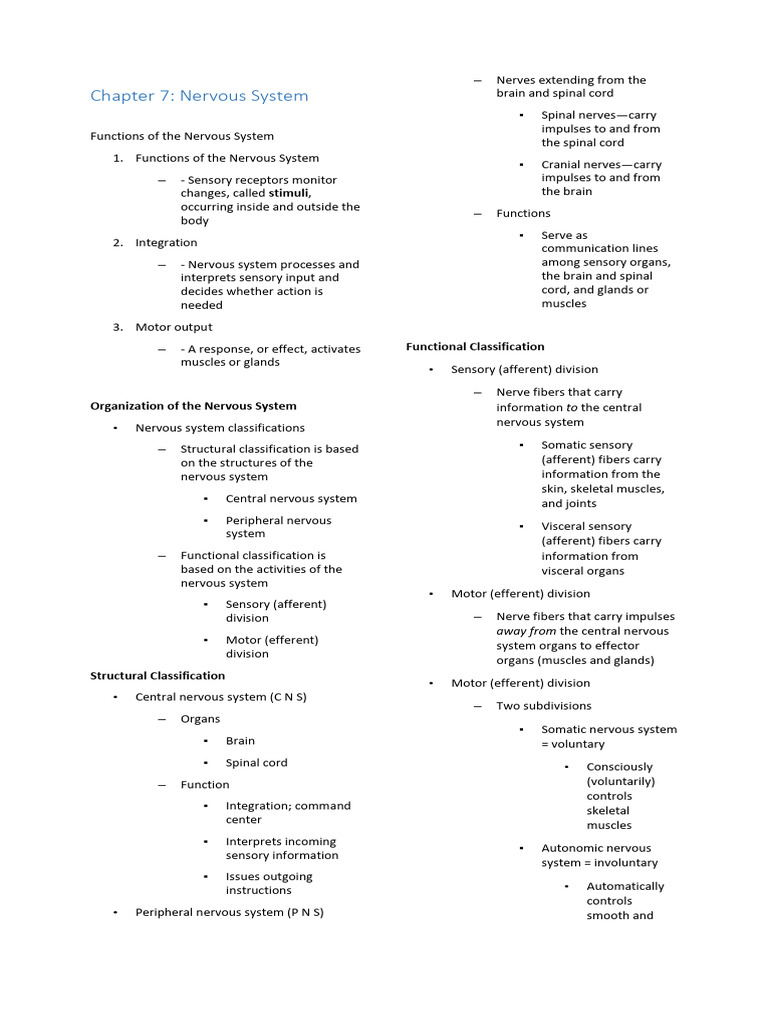 Nervous System Reviewer | PDF | Action Potential | Neuron