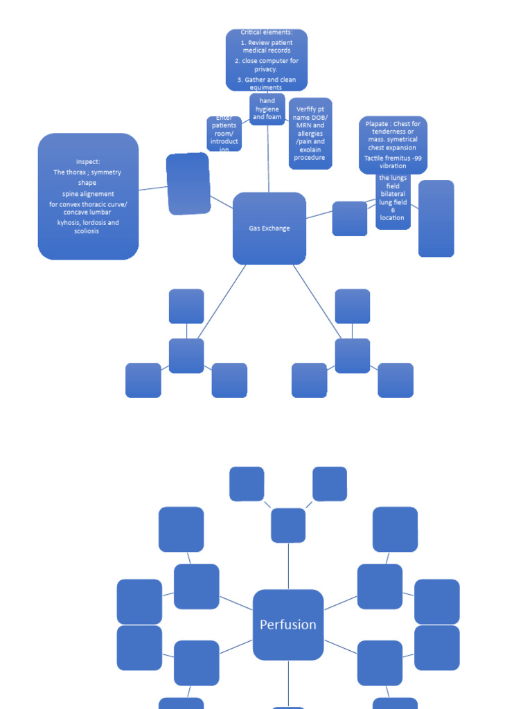 HA Concept Map Gas Exchange & Perfusion 0823 | PDF