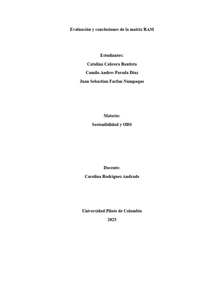 Evaluación y Conclusiones de La Matriz RAM | PDF | Negocios