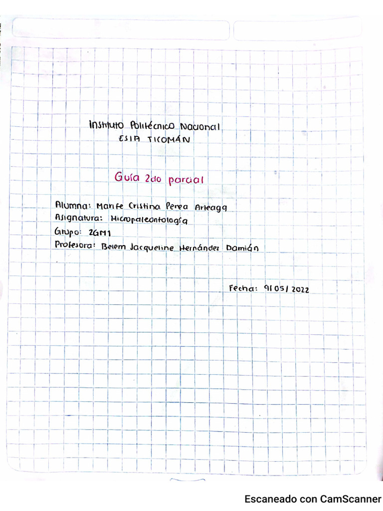 Guía 2do Parcial | PDF