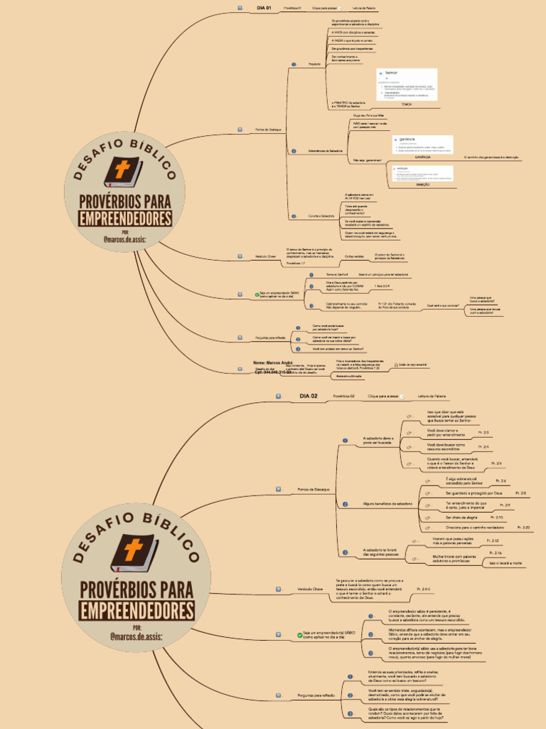Mapa Mental PPE.(1) | PDF