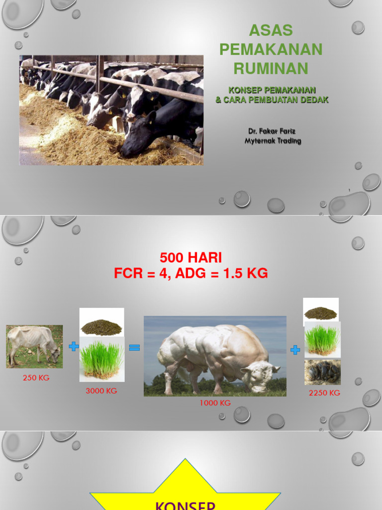 Nutrisi Ruminan & Dedak DIY | PDF