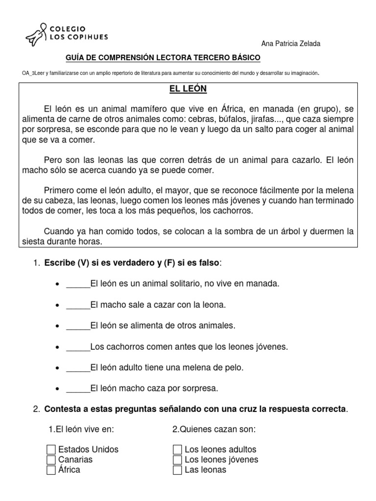 Guía de Comprensión Lectora: El León | PDF | Artes del Lenguaje y ...