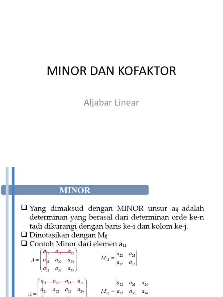 Minor Dan Kofaktor | PDF