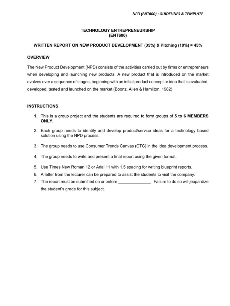Ent600 NPD Guidelines - Template | PDF