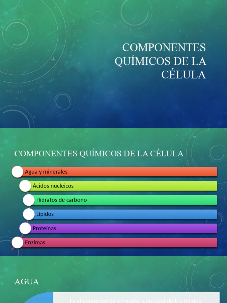 2°componentes Químicos de La Célula | PDF